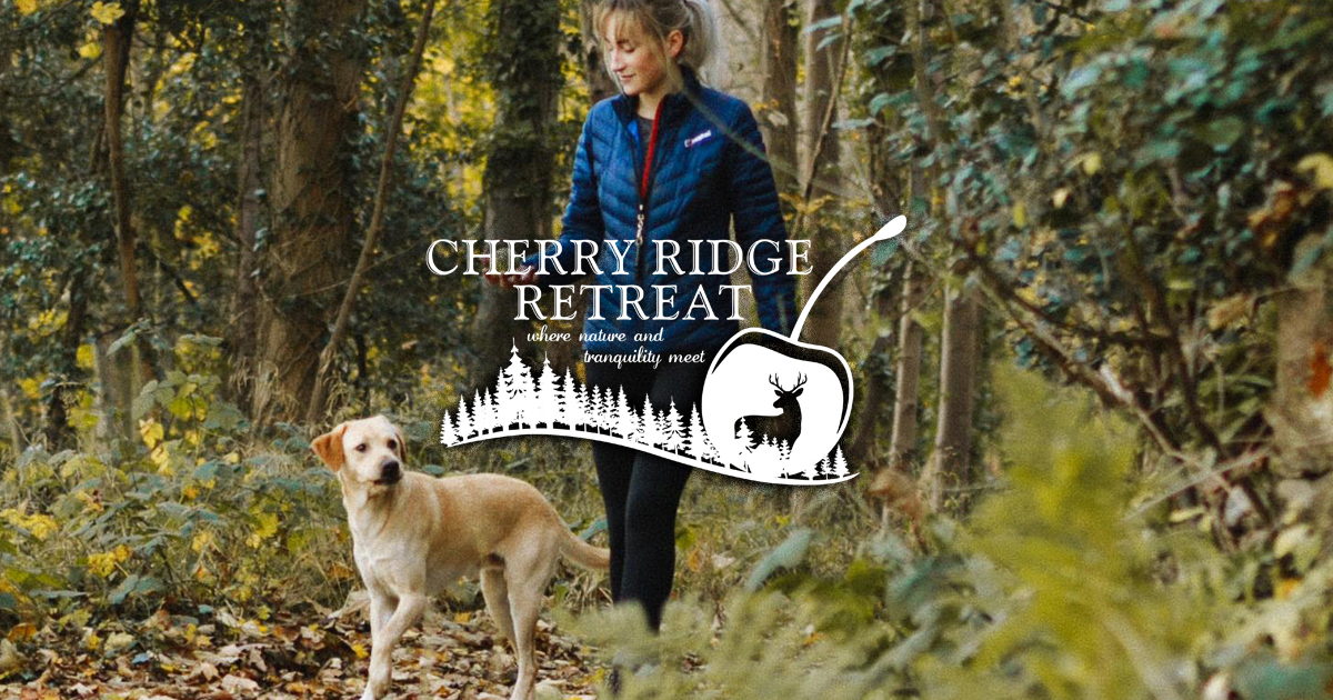 Why You Should Bring Your Furry Friend to the Hocking Hills! | Cherry ...